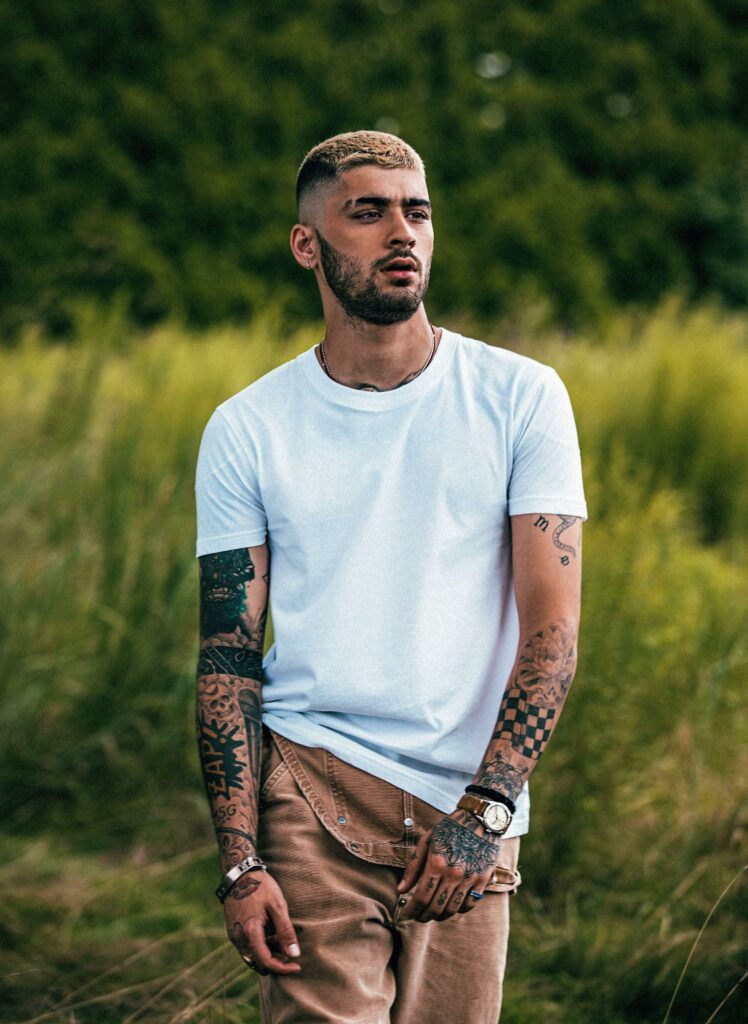 CAA Signs Zayn In All Areas - Pollstar News