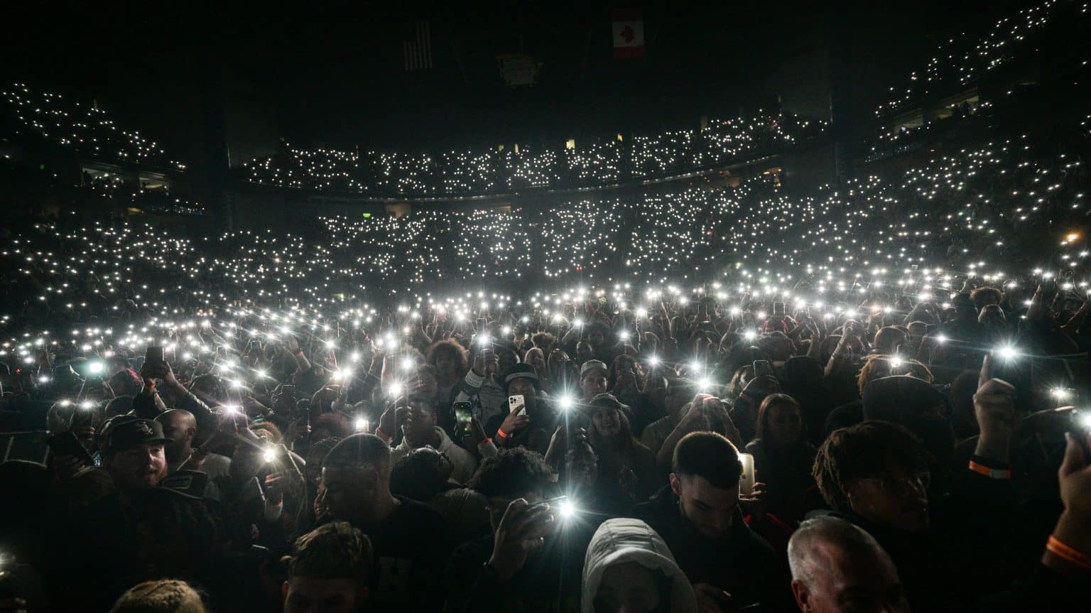 'Providing Competence Across All Business Aspects': Q's With Dr ...