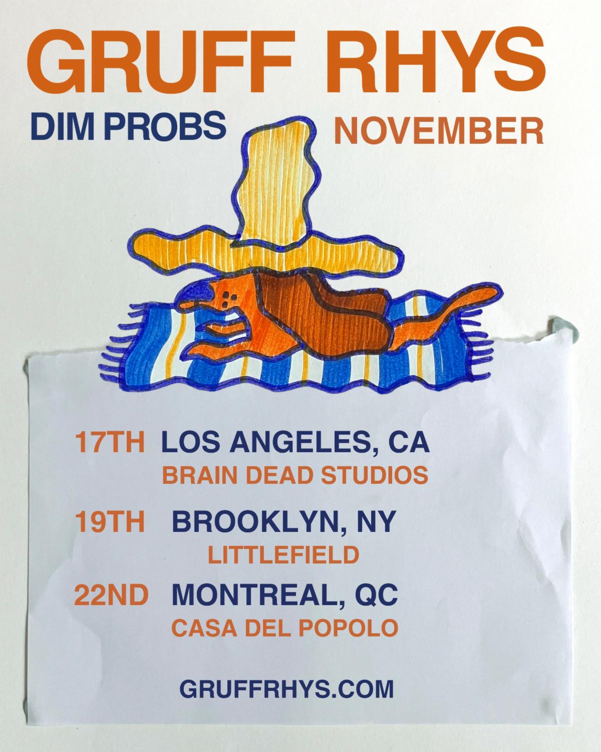 Gruff Rhys Announces North America Solo Performances - Pollstar News